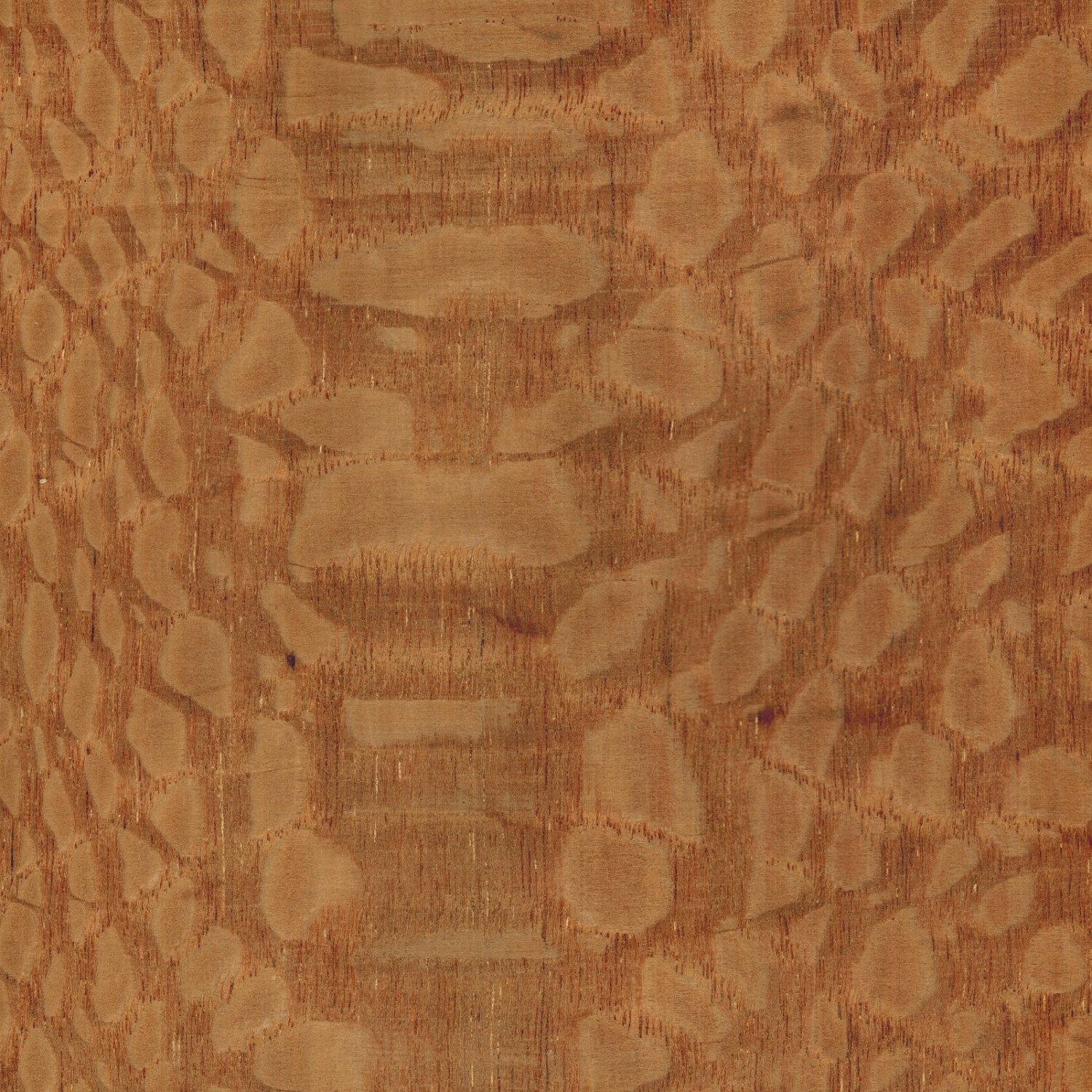 Lacewood | Veneer Catalog | Houston Architectural Panel, LLC