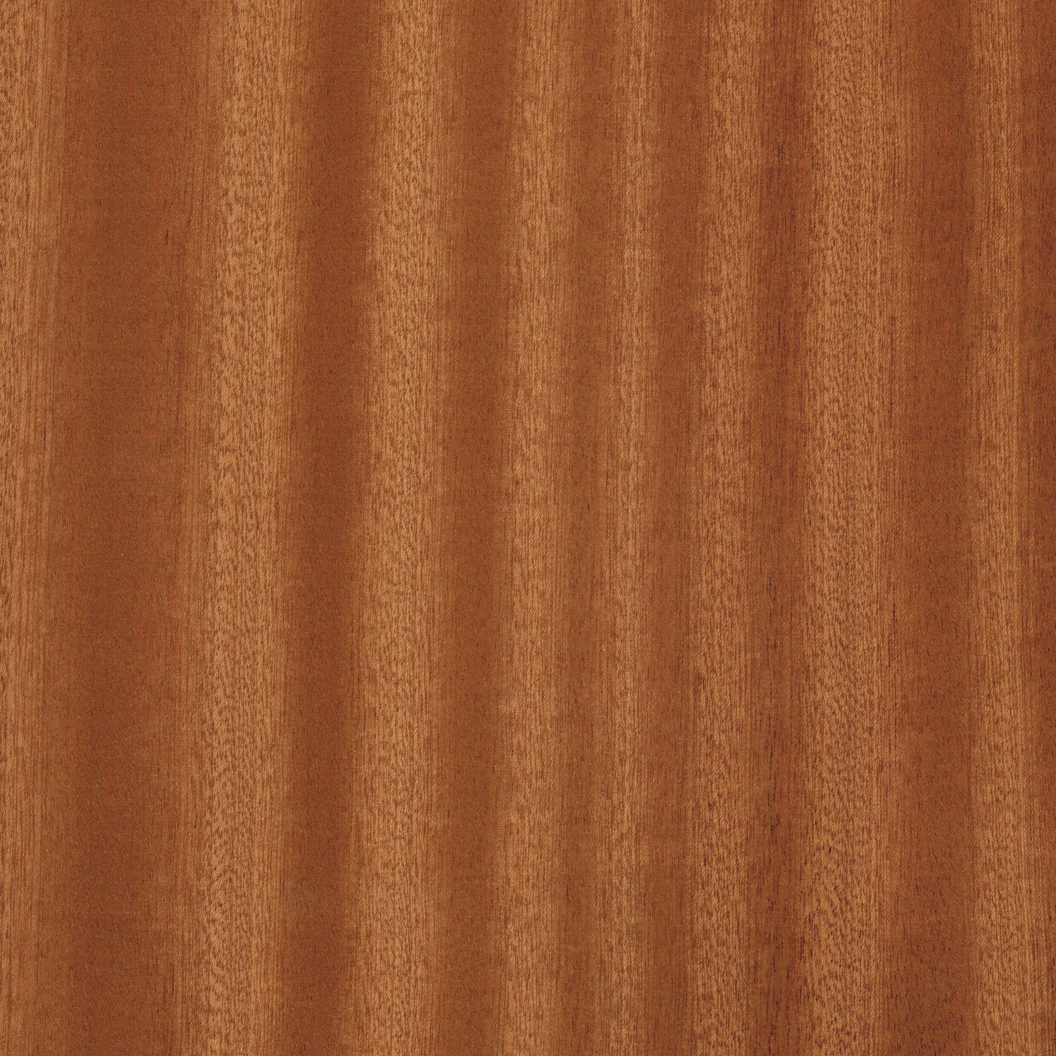 Sapele | Veneer Catalog | Houston Architectural Panel, LLC