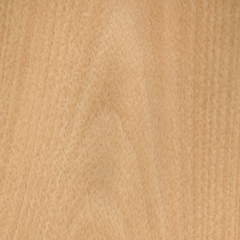 European Beech | Veneer Catalog | Houston Architectural Panel, LLC