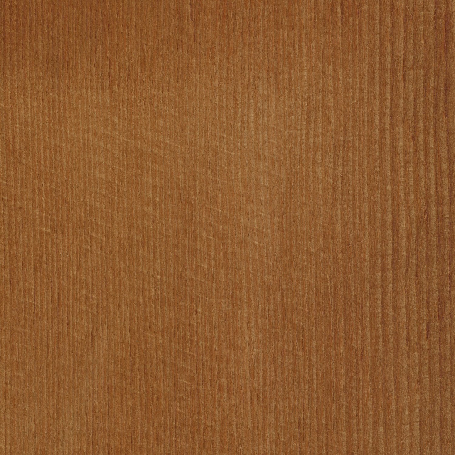 Western Redcedar | Veneer Catalog | Houston Architectural Panel, LLC