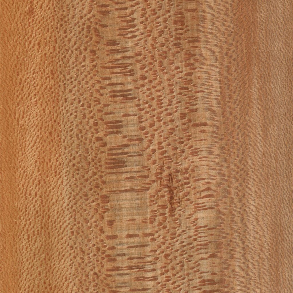 American Sycamore | Veneer Catalog | Houston Architectural Panel, LLC